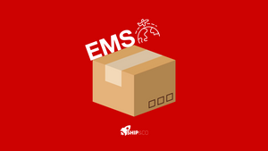 国際郵便EMSラベルを簡単に作成する方法を紹介！EMSラベル発行システム2選を徹底比較！